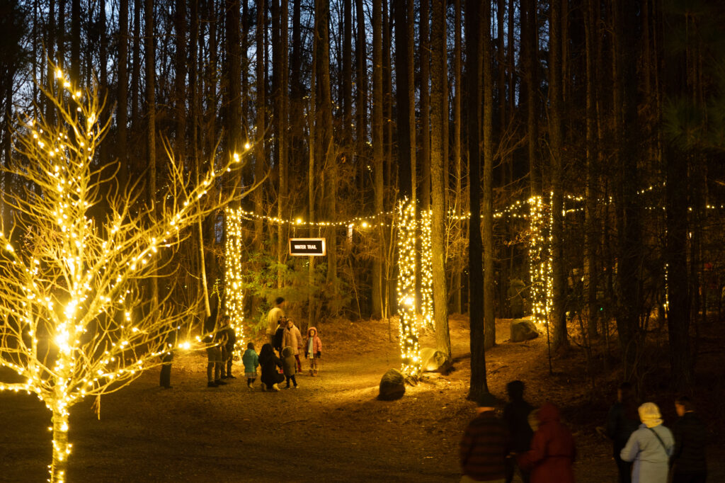 The Winter Trail - Whitewater